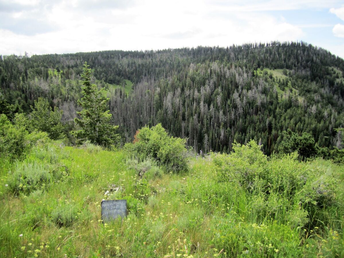 BLM schedules prescribed burn on Reservation Ridge | News, Sports, Jobs ...